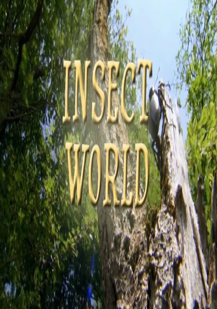 Insect World streaming: where to watch movie online?